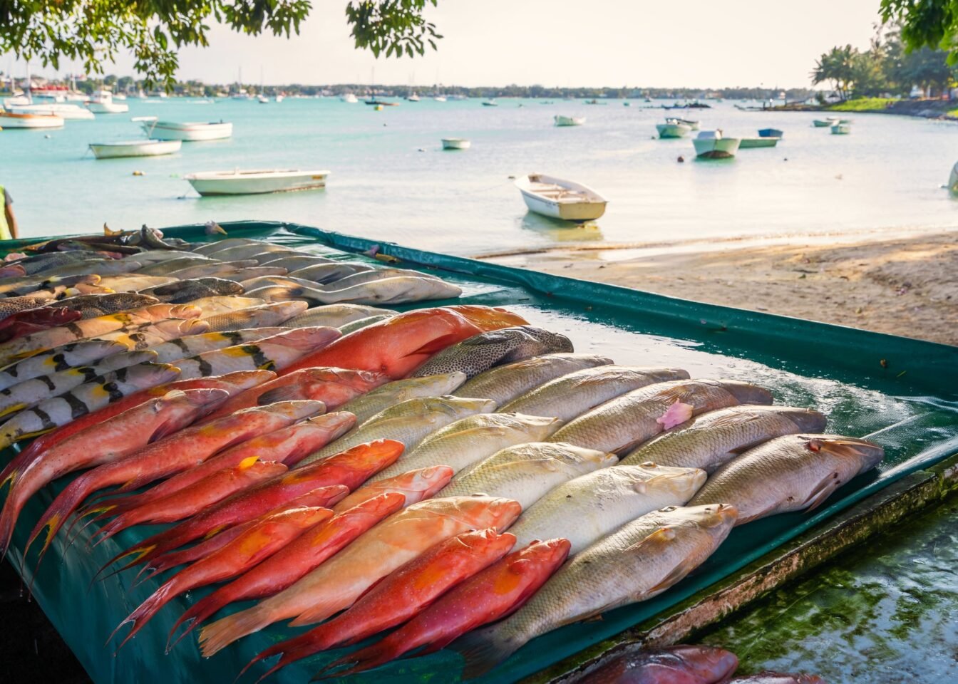 Mauritius vs Reunion: The Honest Comparison In 2023 You Need!