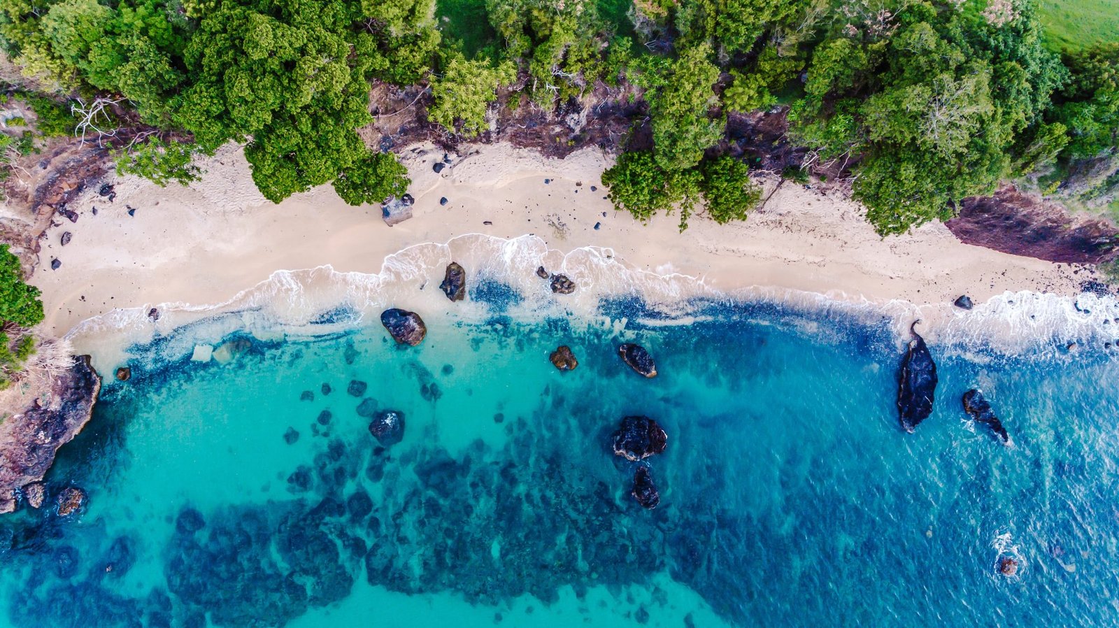 The Five Caribbean Islands Nature & Wildlife Lovers Must Visit!