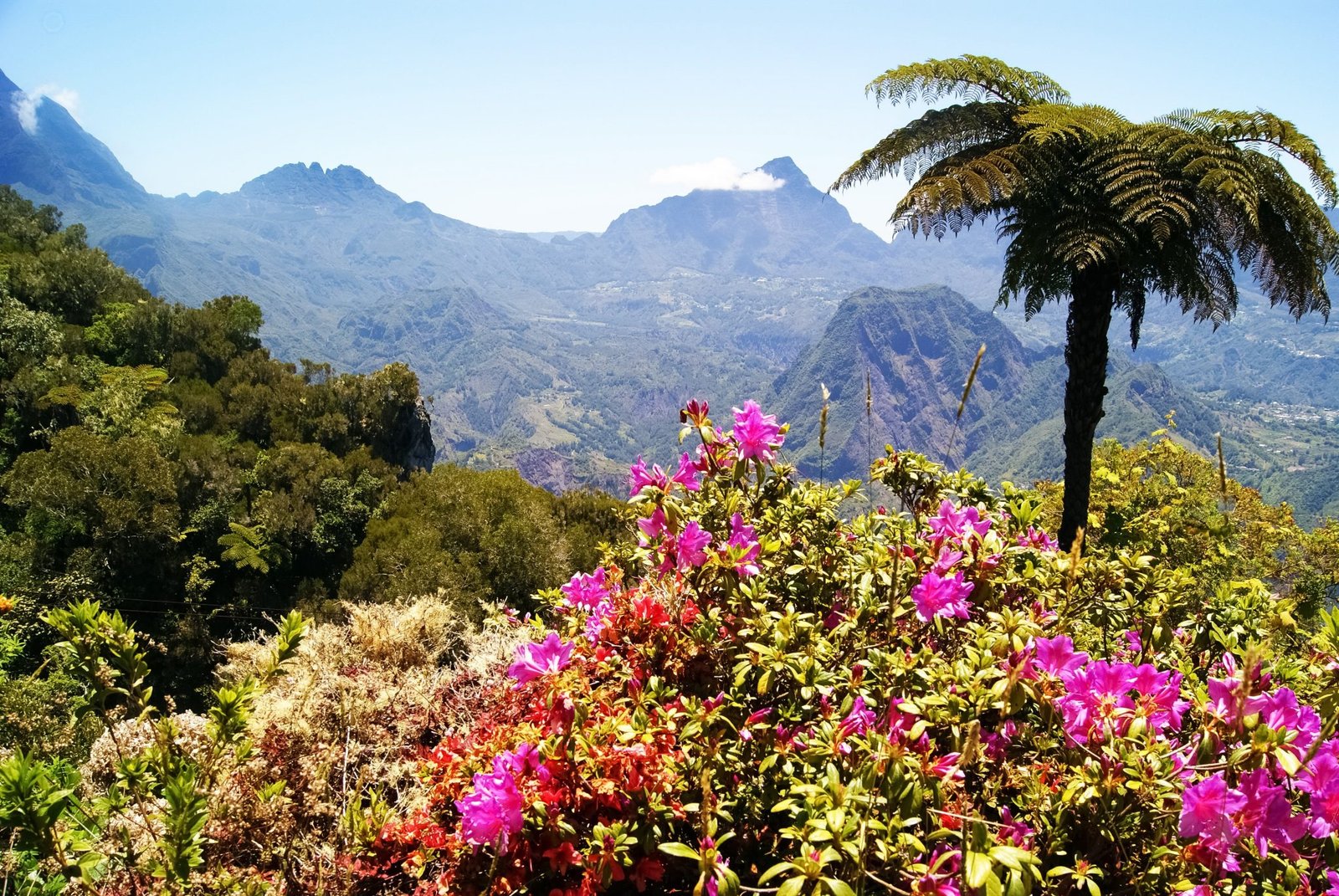 Mauritius vs Reunion: An Honest & In-Depth Comparison In 2022!