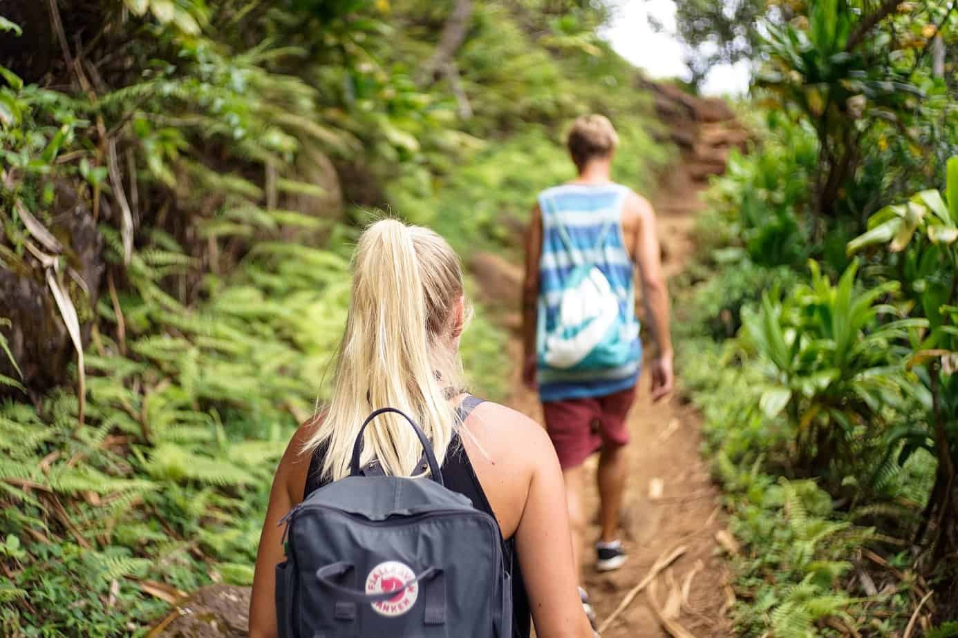 The Five Caribbean Islands Nature & Wildlife Lovers Must Visit!