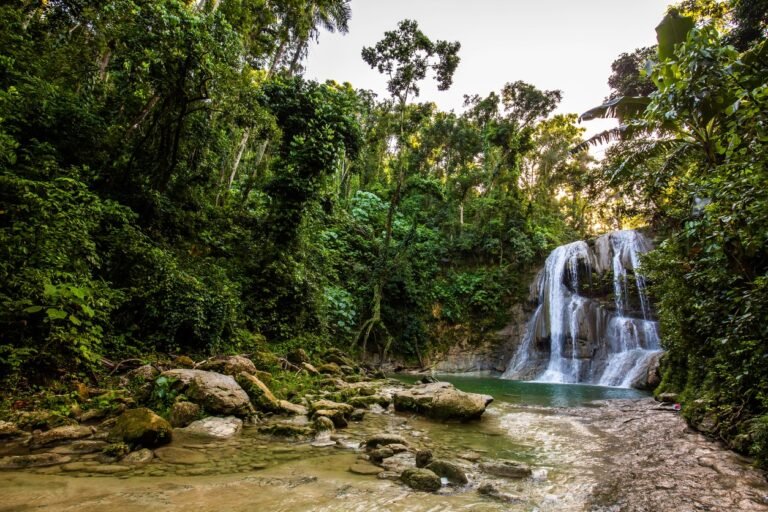 The Five Caribbean Islands Nature & Wildlife Lovers Must Visit!