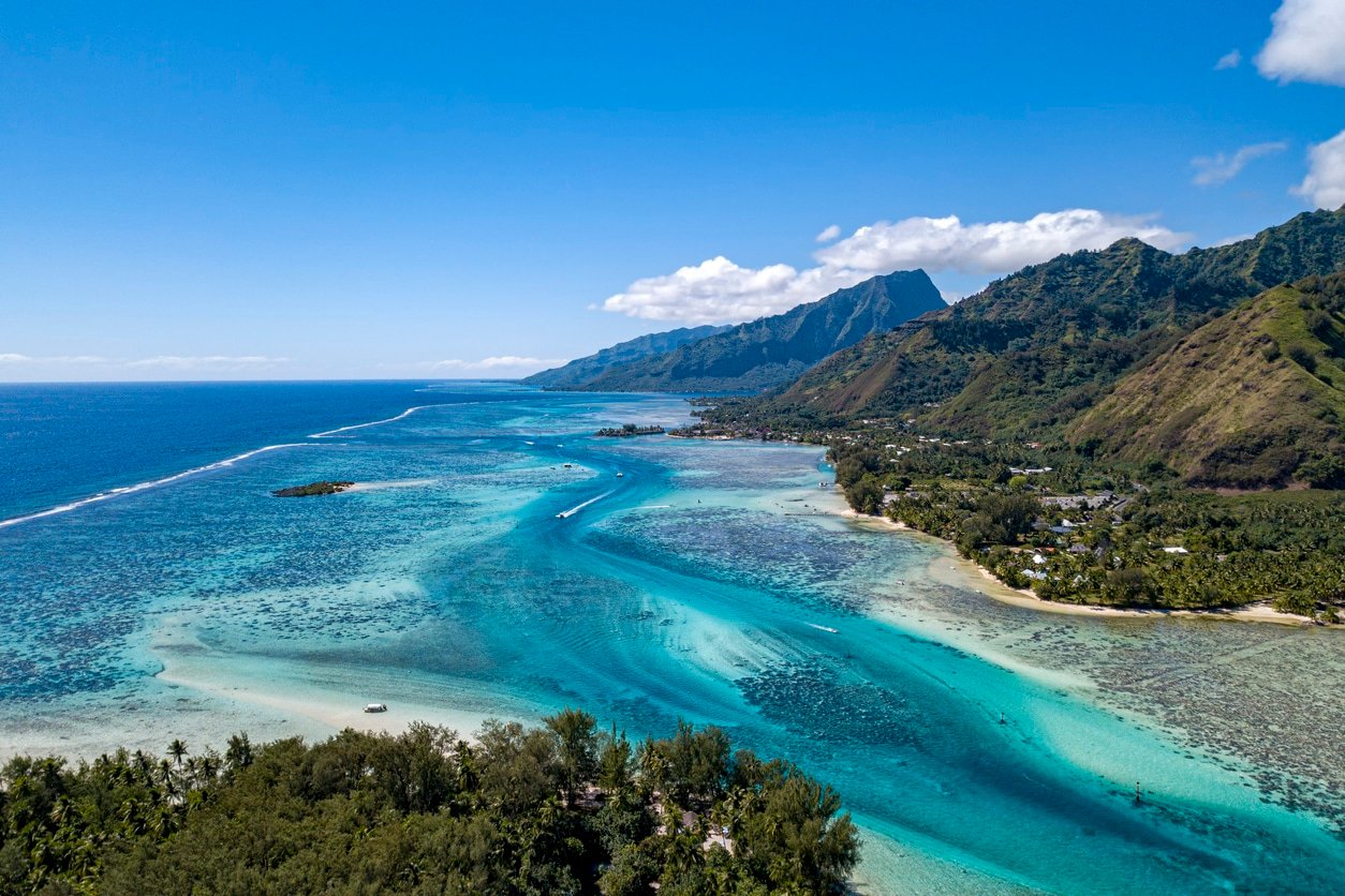 Scuba Diving In Moorea: Why It's Unique, Best Dive Sites & More!