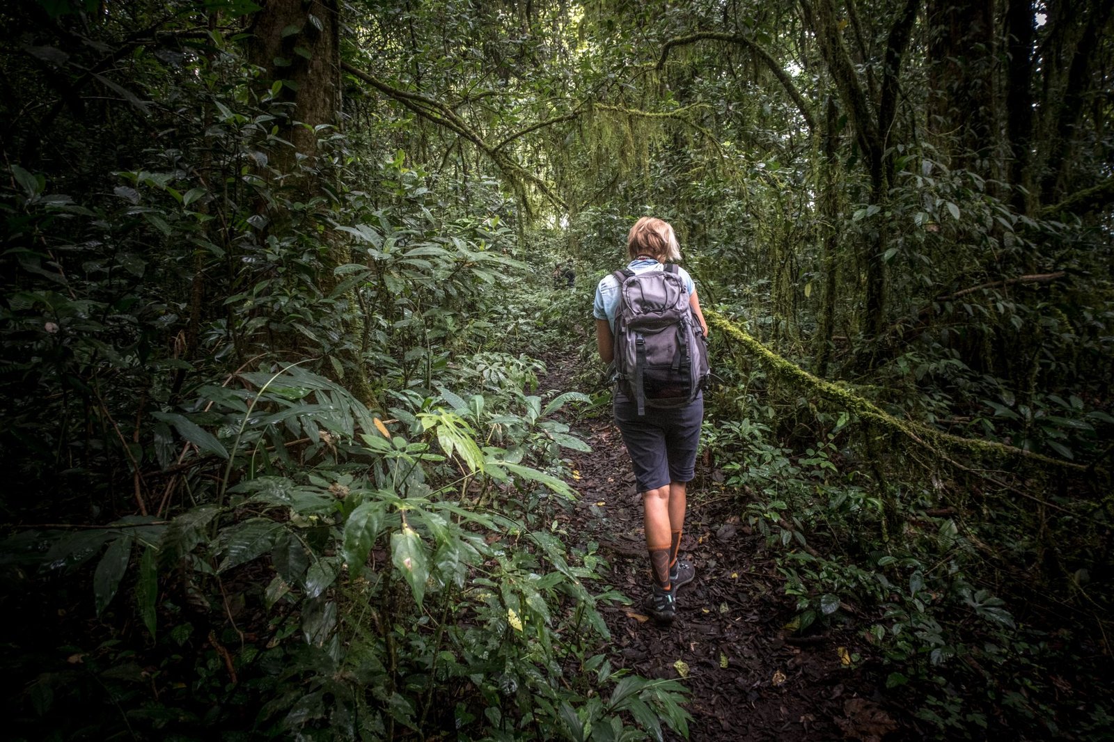 The Five Caribbean Islands Nature & Wildlife Lovers Must Visit!