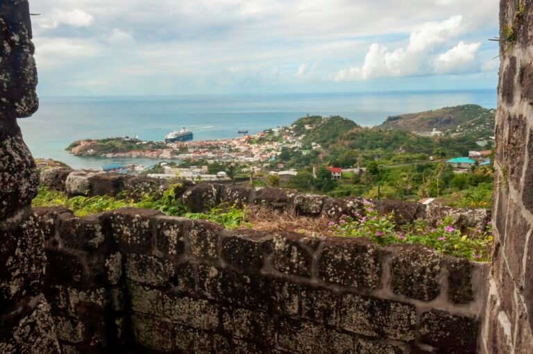 The Five Caribbean Islands Nature & Wildlife Lovers Must Visit!