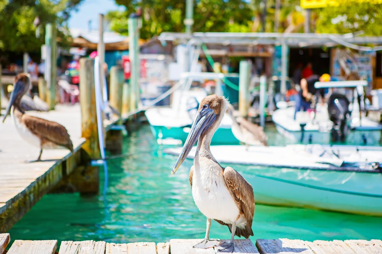 Key West vs Key Largo: The Honest & Only Comparison You Need!