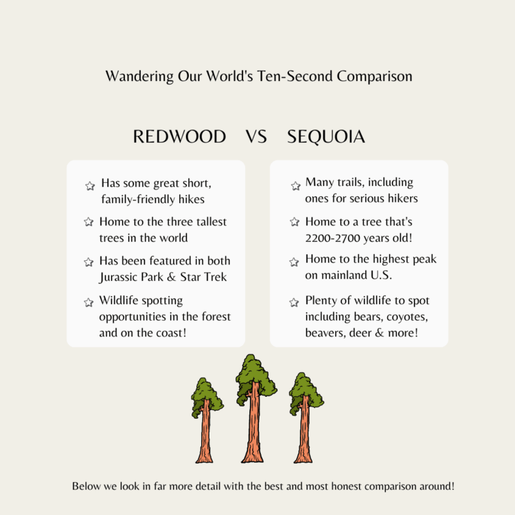 Redwood vs Sequoia: An Honest Comparison Of These Epic Parks!